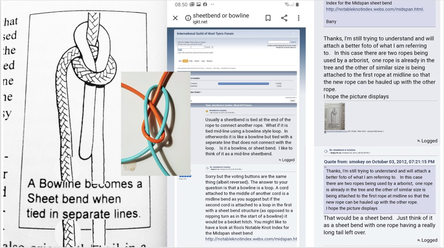 Notes about the Bowline and the Sheetbend knots – Forces in Translation